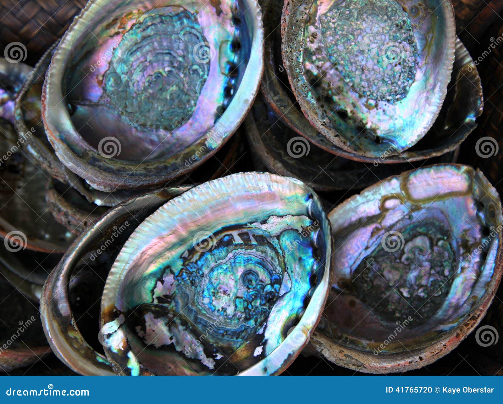 525 Abalone Shells Stock Photos - Free & Royalty-Free Stock Photos from ...