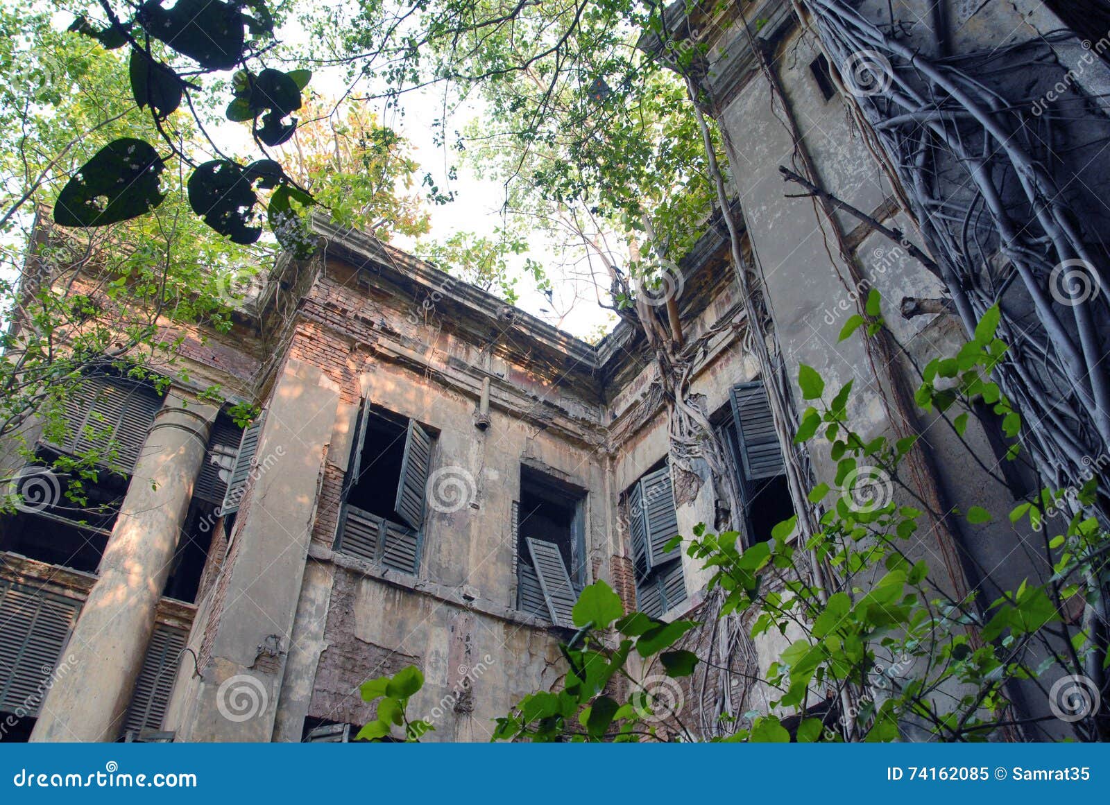 Abandon House stock image. Image of tree, kolkata, former - 74162085