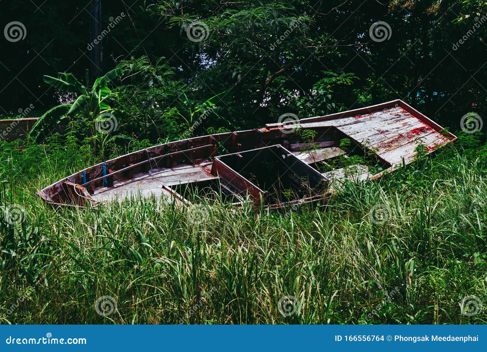 Abandon Wooden Boat or Ship in Tall Grass of Forest Tree. Stock Photo ...