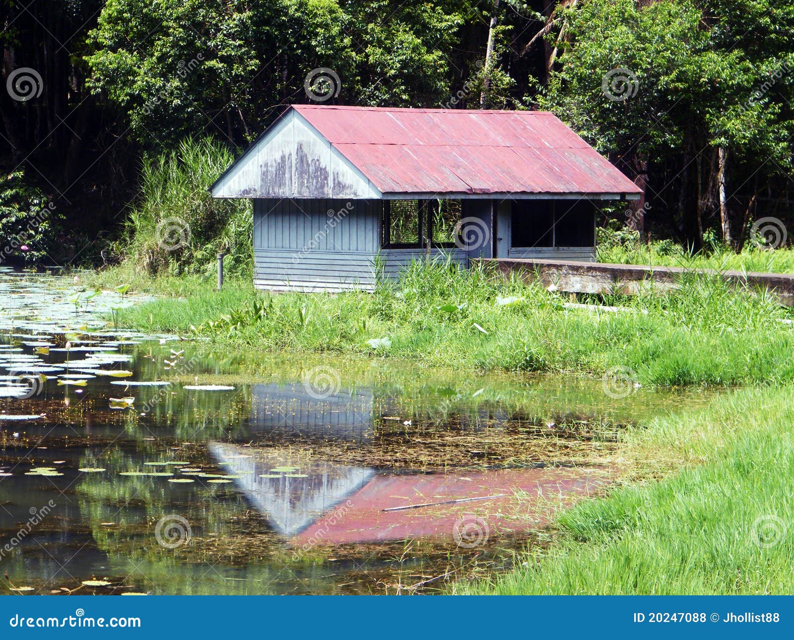 Abandonded hut stock photo. Image of water, jungle, peaceful - 20247088