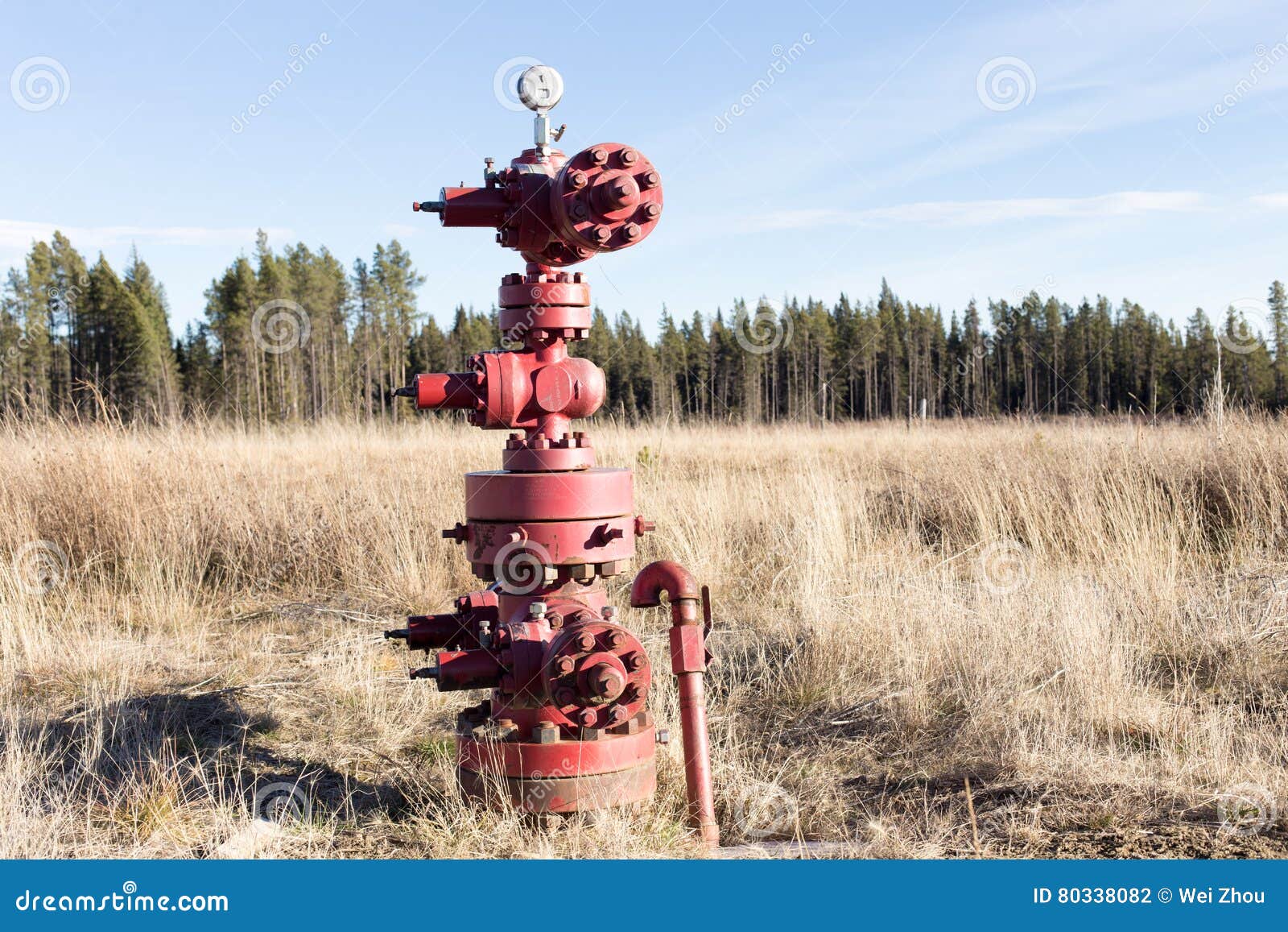 Natural Gas Wellhead