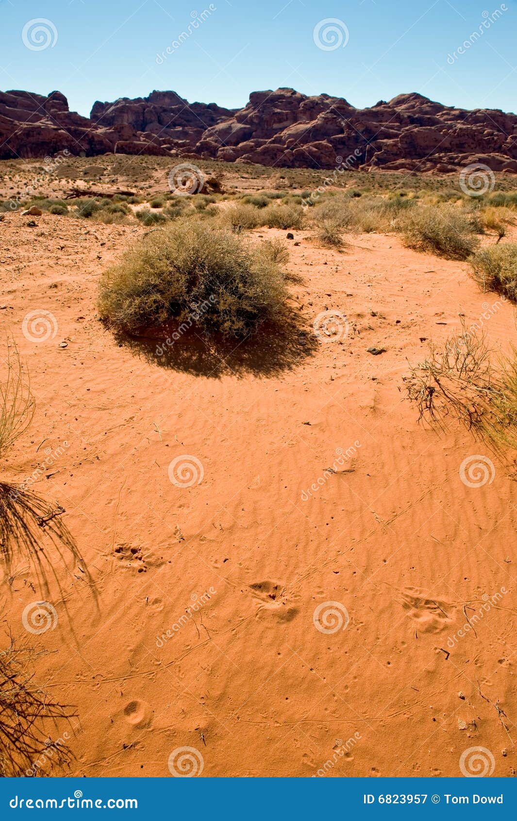Abandone La Arena Con Huellas Imagen de archivo - Imagen de caliente ...