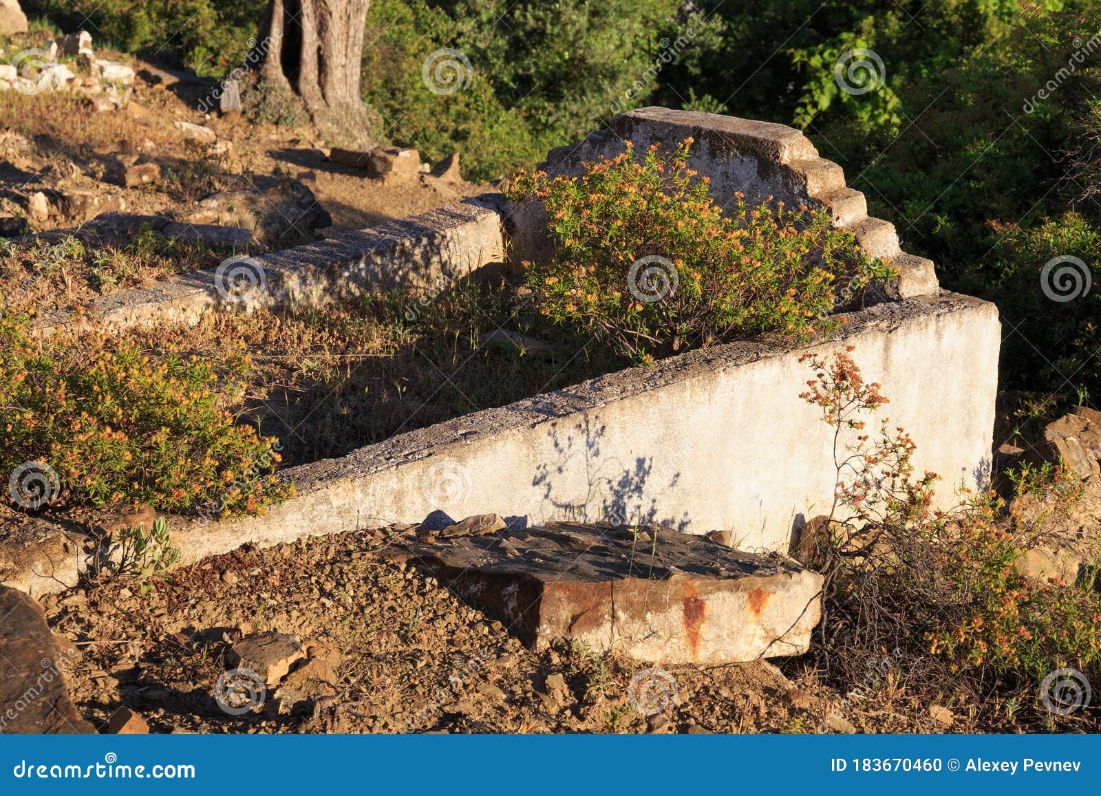 627 Arabian Cemetery Photos - Free & Royalty-Free Stock Photos from ...