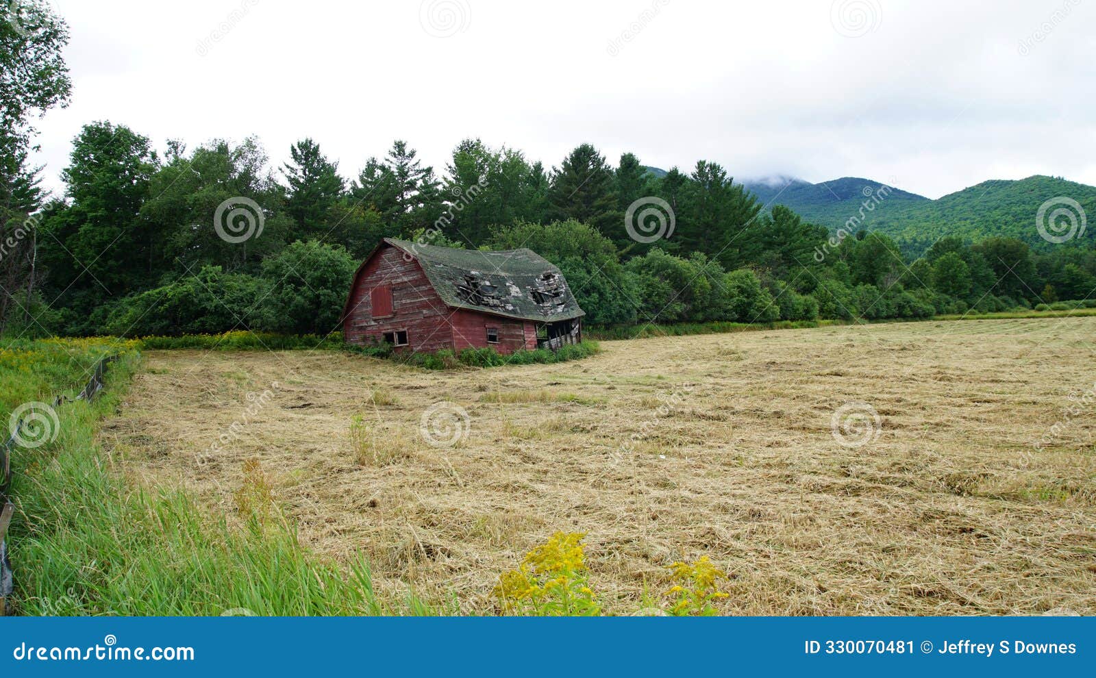 Abandoned Barn in Field editorial photo. Image of tree - 330070481