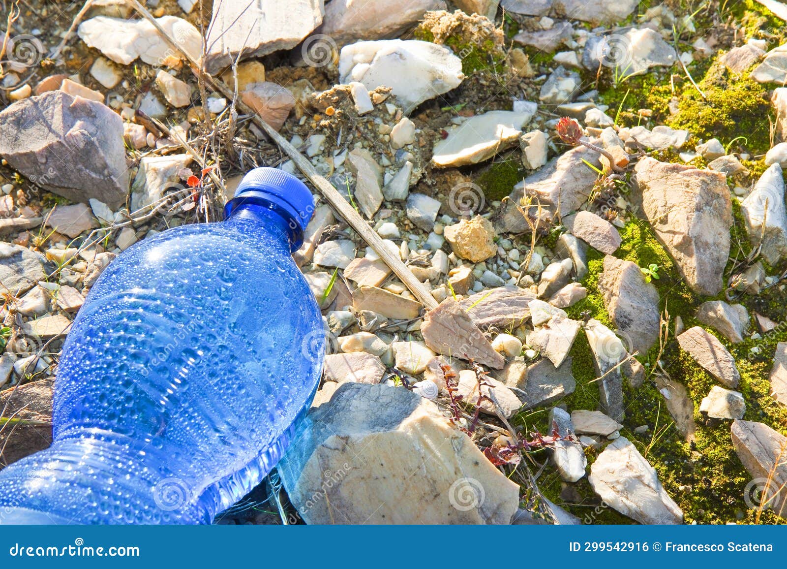 Abandoned Blue Plastic Bottle - Concept Image Stock Photo - Image of ...