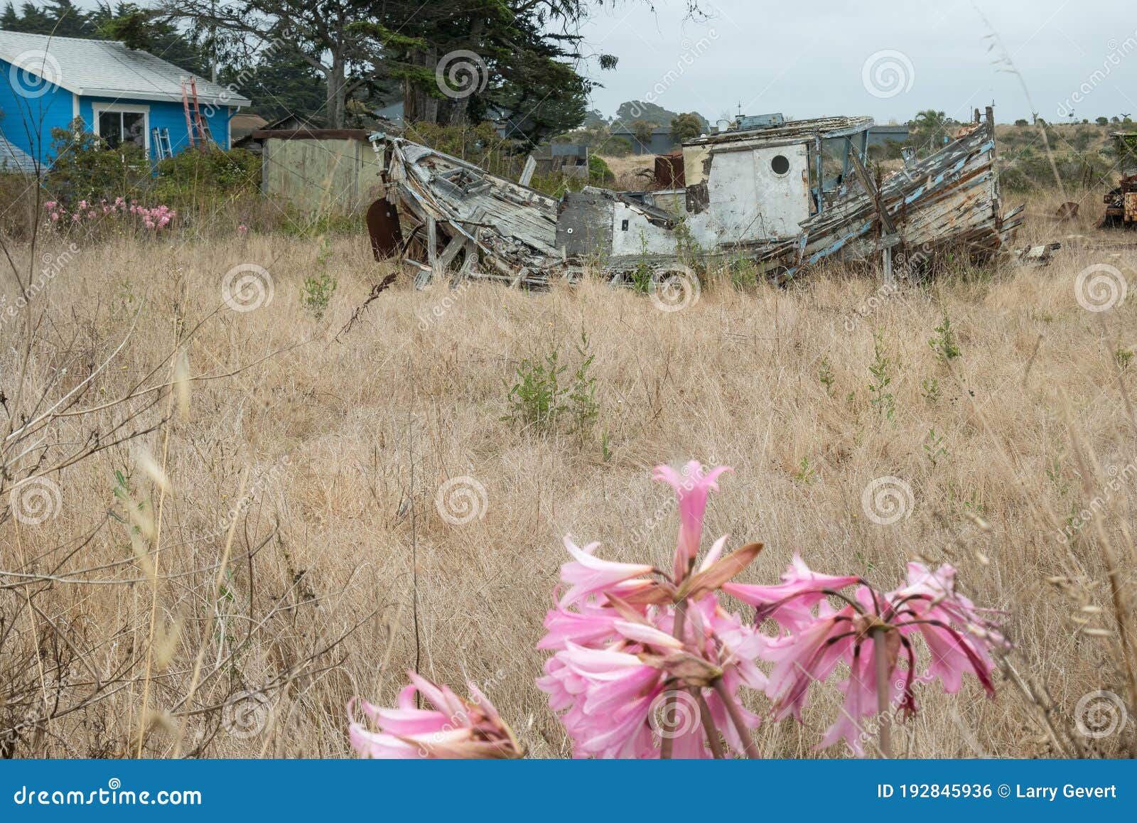 Abandoned Boat in the Field Stock Photo - Image of marine, american ...