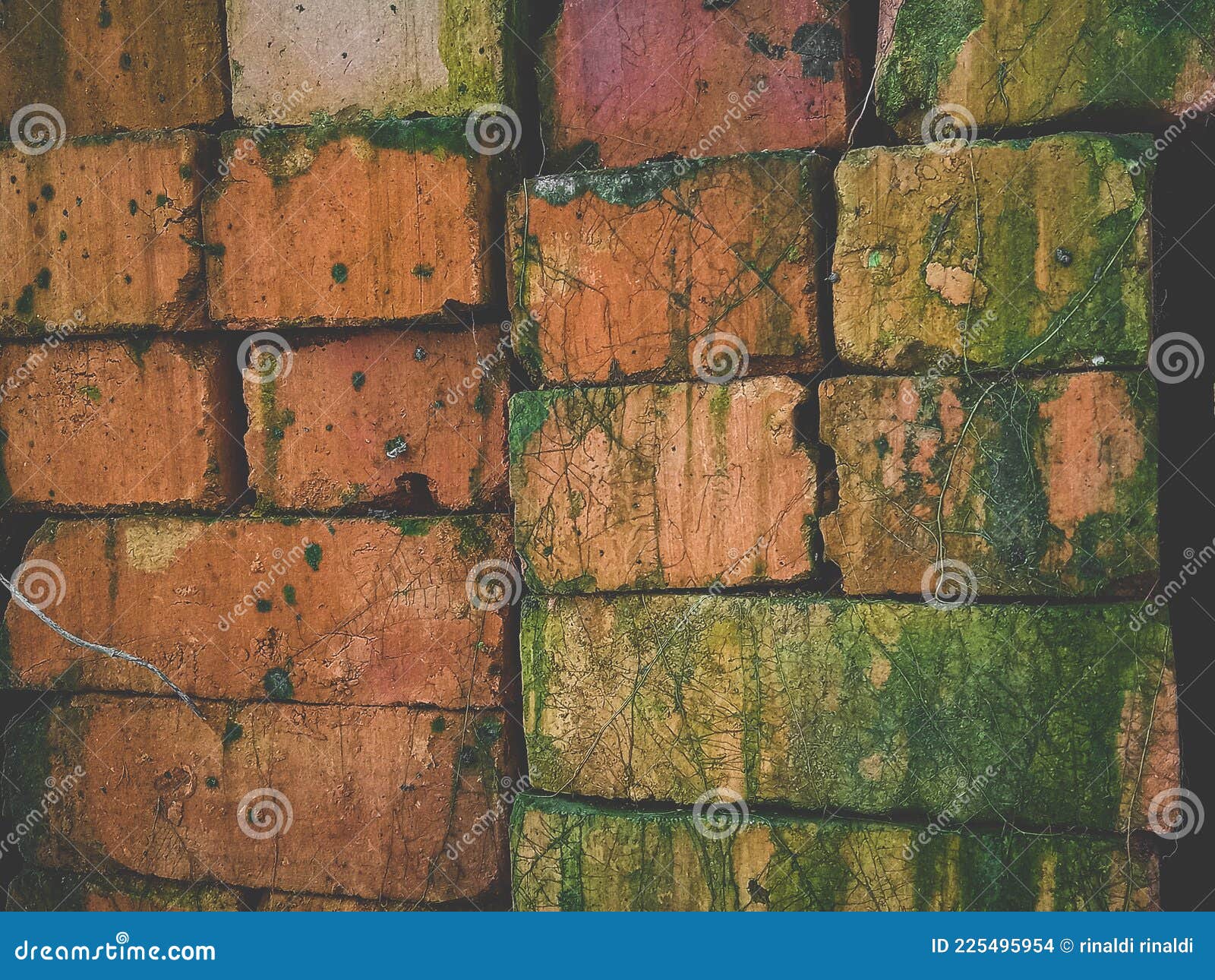 Abandoned Bricks Overgrown with Moss Stock Photo - Image of brickwork ...