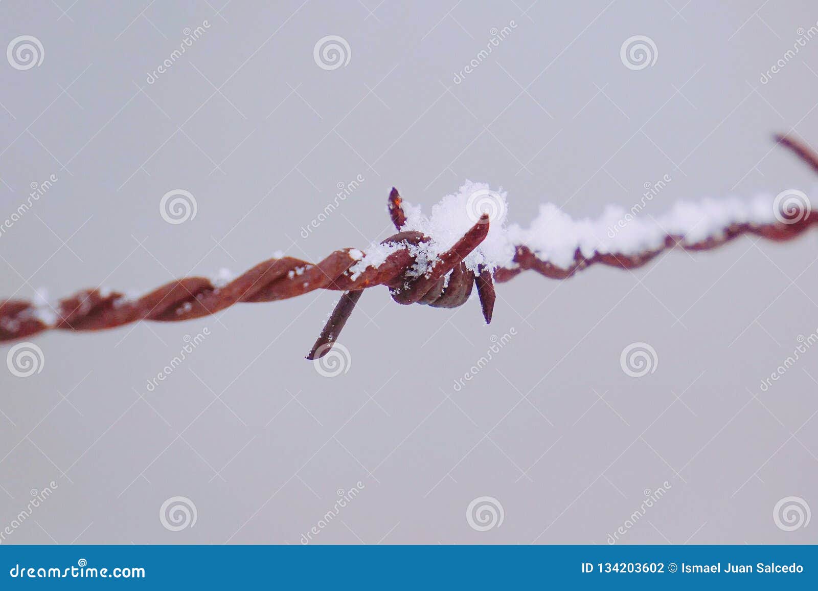 The Abandoned Broken Barbed Wire Stock Photo - Image of grunge ...