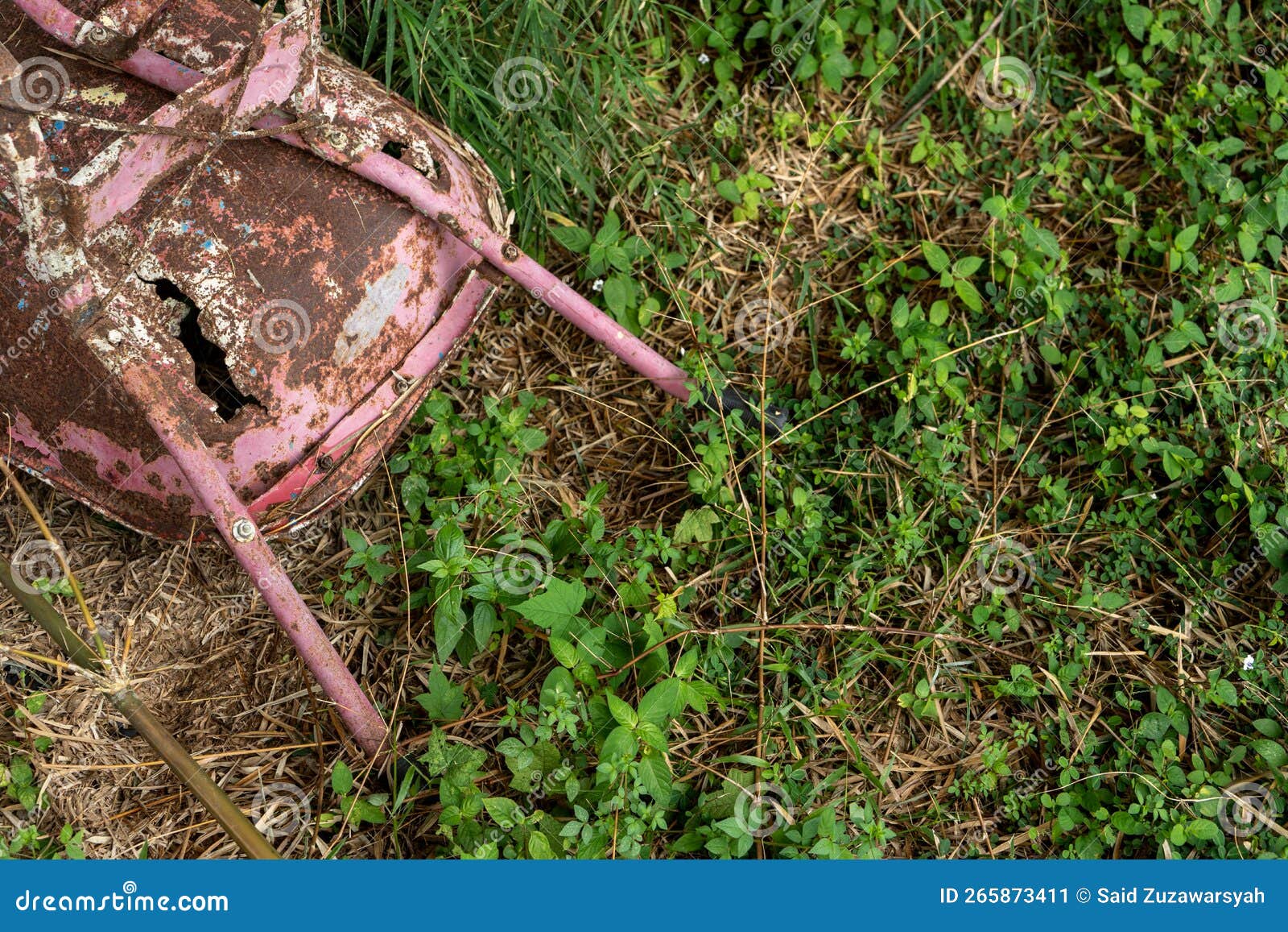 An Abandoned Broken Wheelbarrow Above the Small Plants Stock Image ...