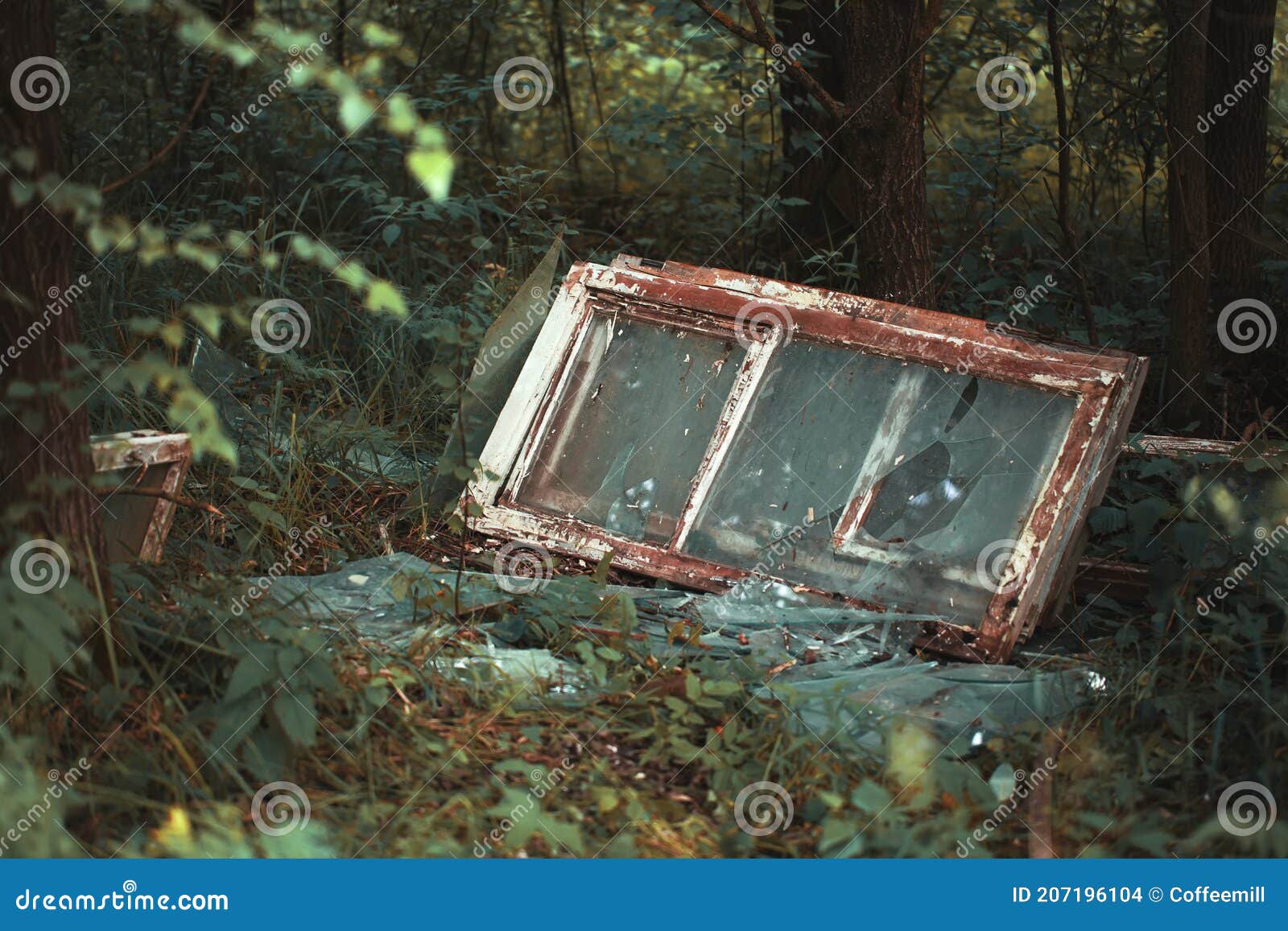 Abandoned Broken Windows in the Forest Stock Photo - Image of smashed ...