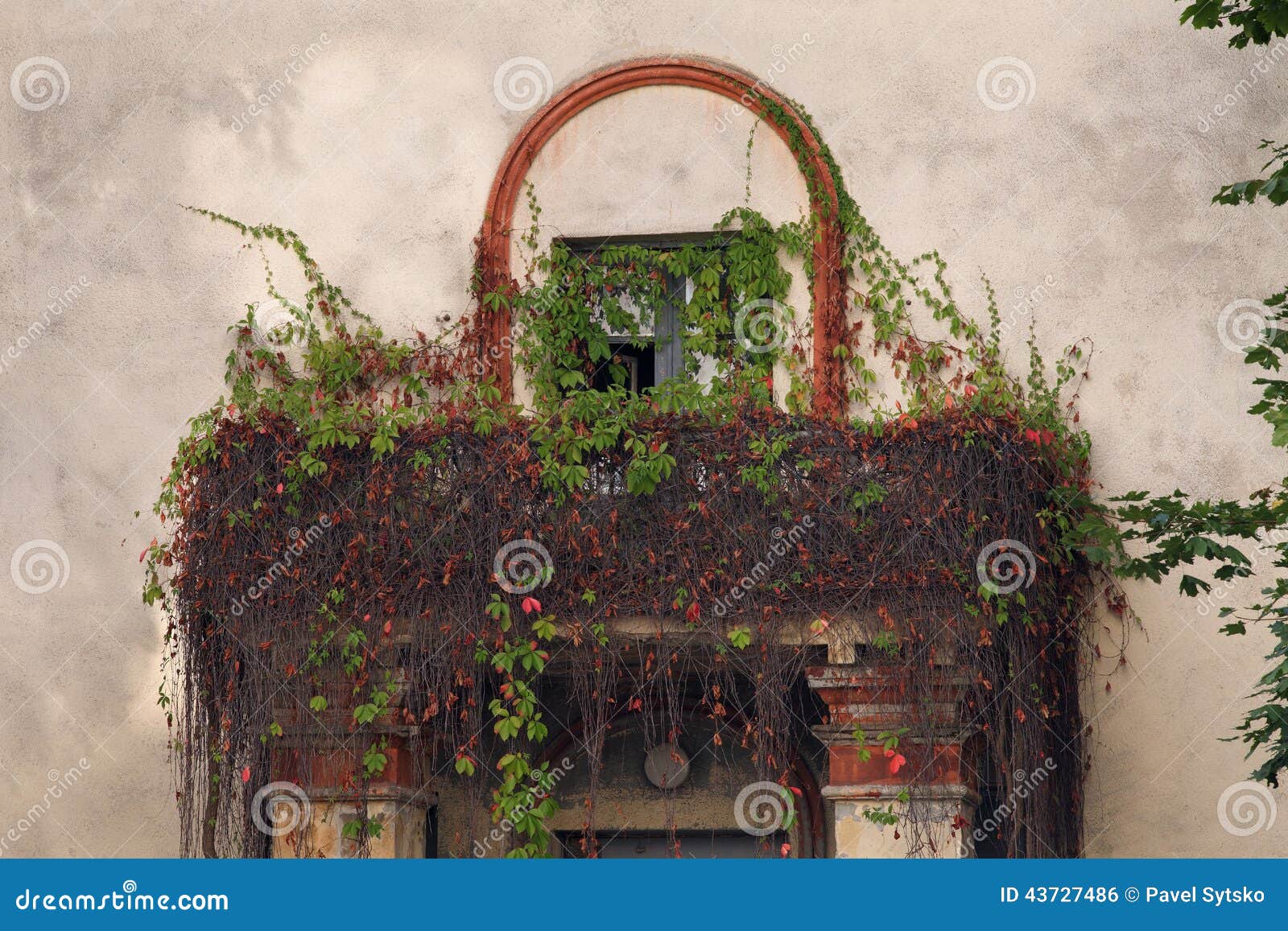 128 Abandoned Building Overgrown Balcony Stock Photos - Free & Royalty ...