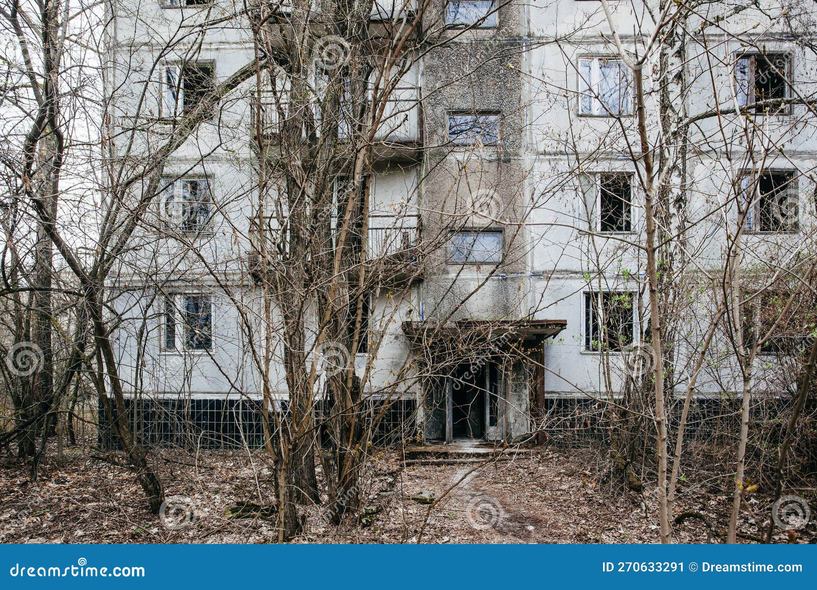 Building Overgrown with Trees in Pripyat, the Chernobyl Zone Editorial ...