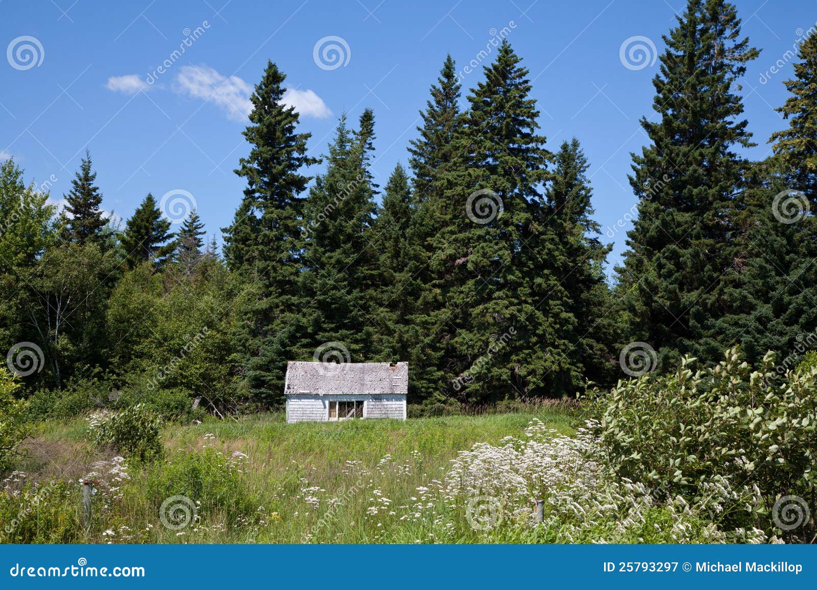 Abandoned Cabin Royalty-Free Stock Photography | CartoonDealer.com ...
