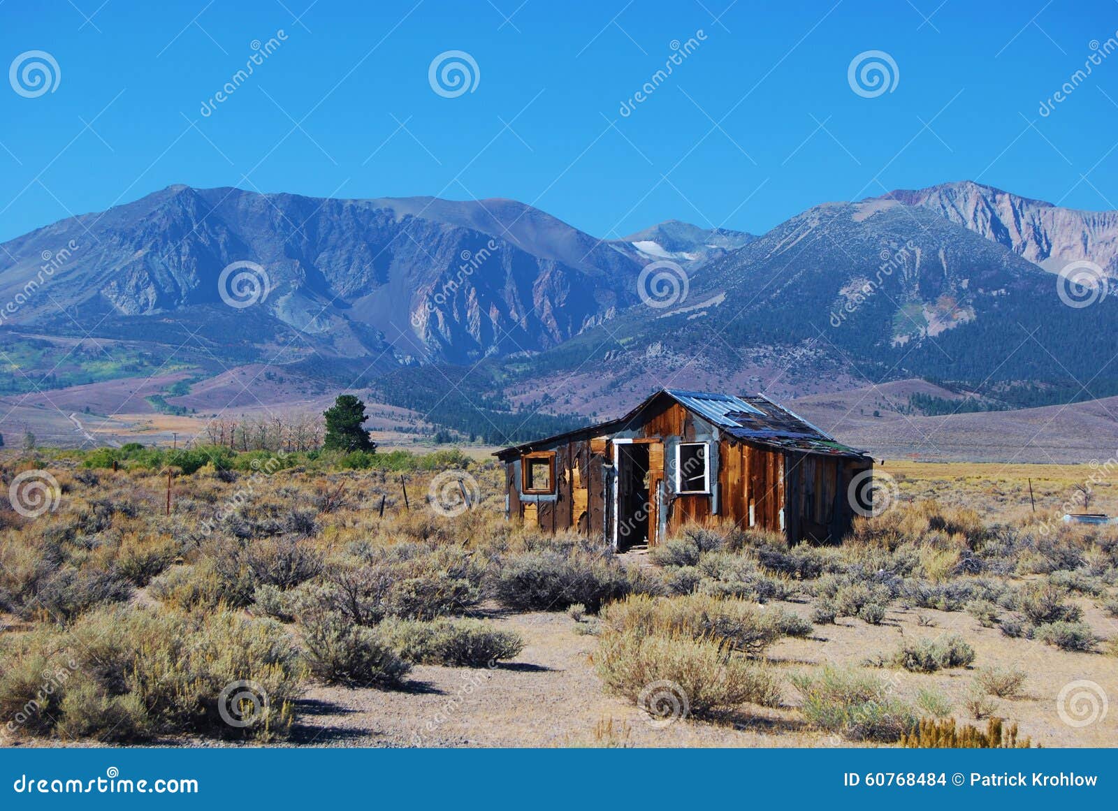Abandoned cabin stock photo. Image of abandoned, cabin - 60768484