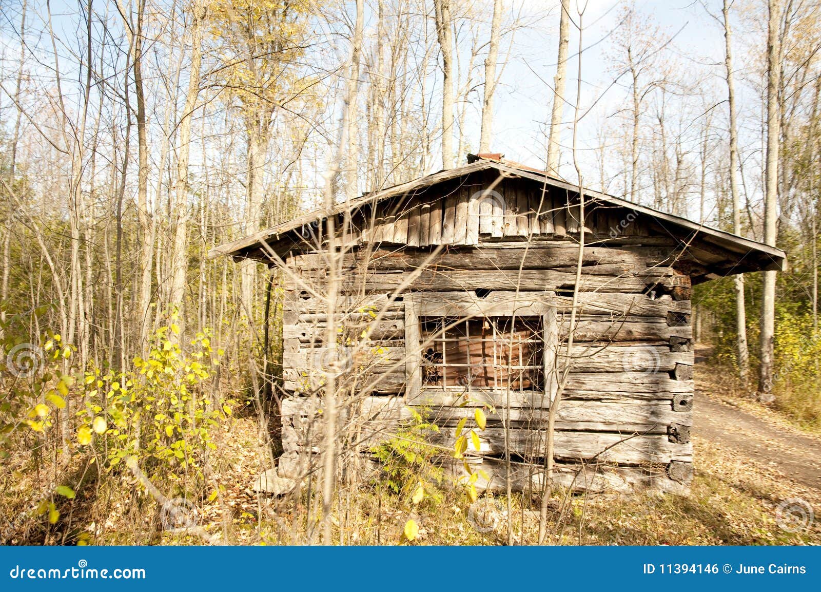 Abandoned Cabin in the Fall Stock Photo - Image of fall, yellow: 11394146