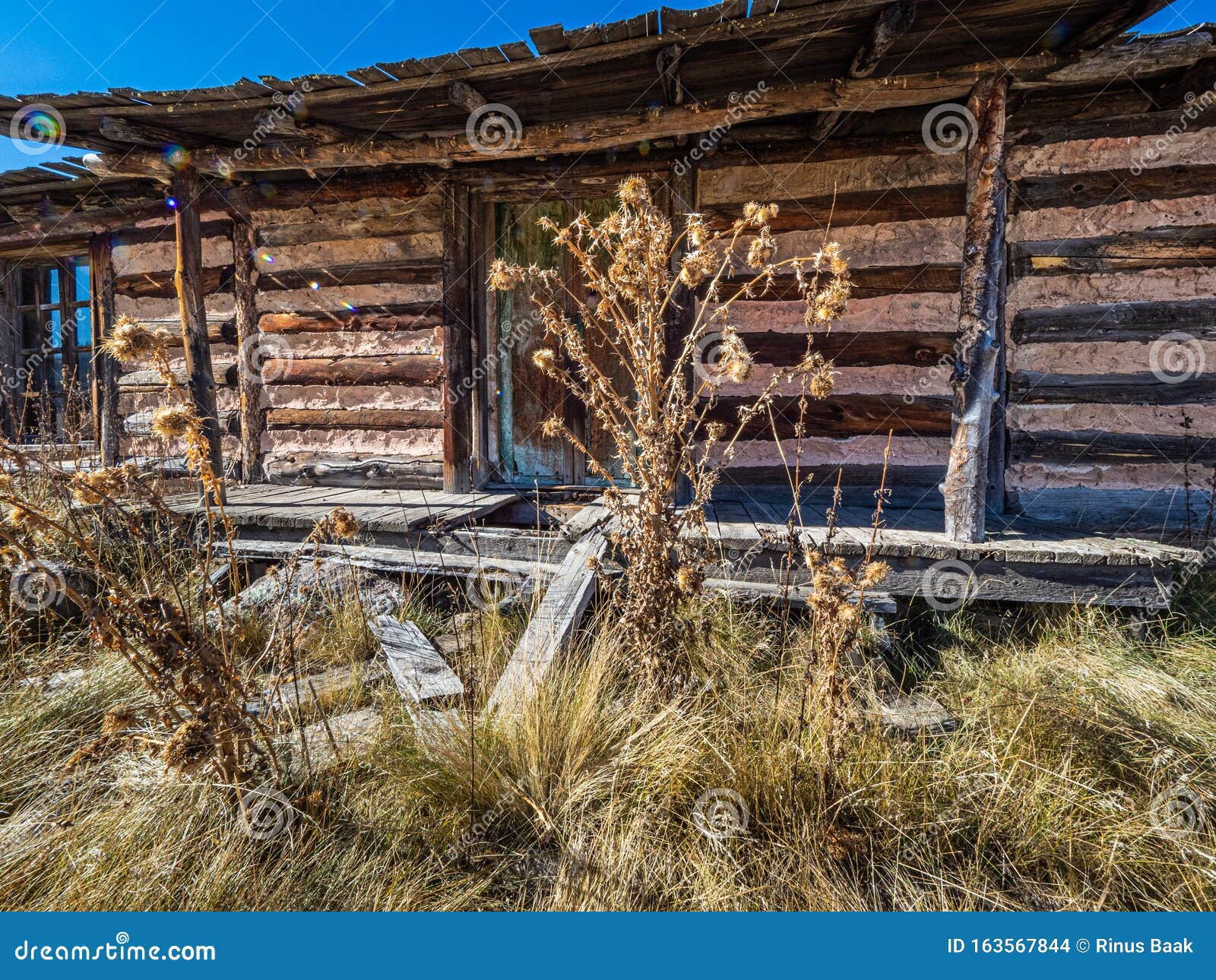 Abandoned Cabin stock photo. Image of historic, grande - 163567844