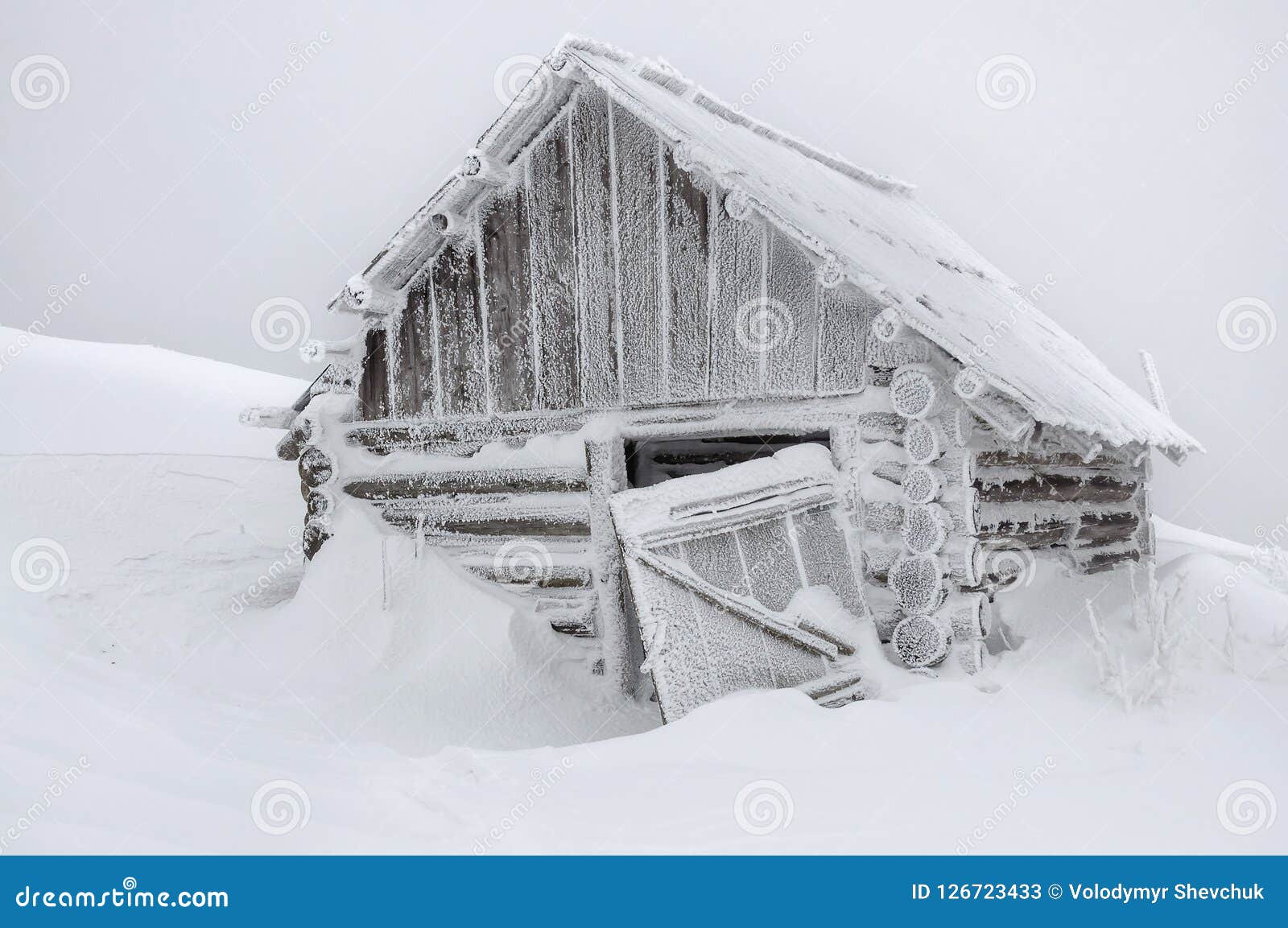 Abandoned cabin in snow stock image. Image of snowing - 126723433