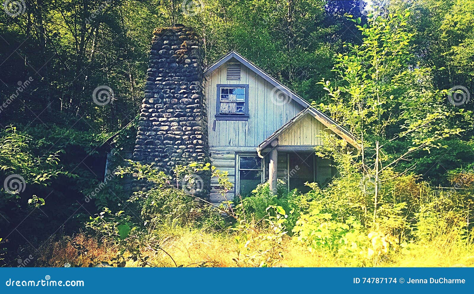 Abandoned cabin stock photo. Image of outdoor, trees - 74787174