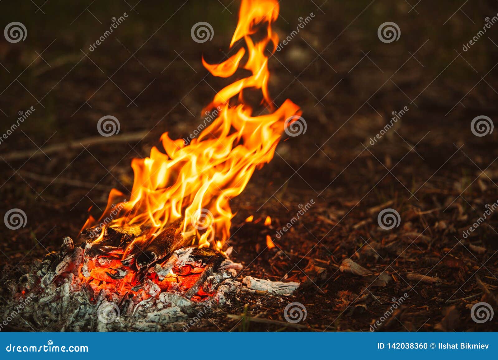 Abandoned Campfire at the Campsite. Consequences Careless of Fire ...