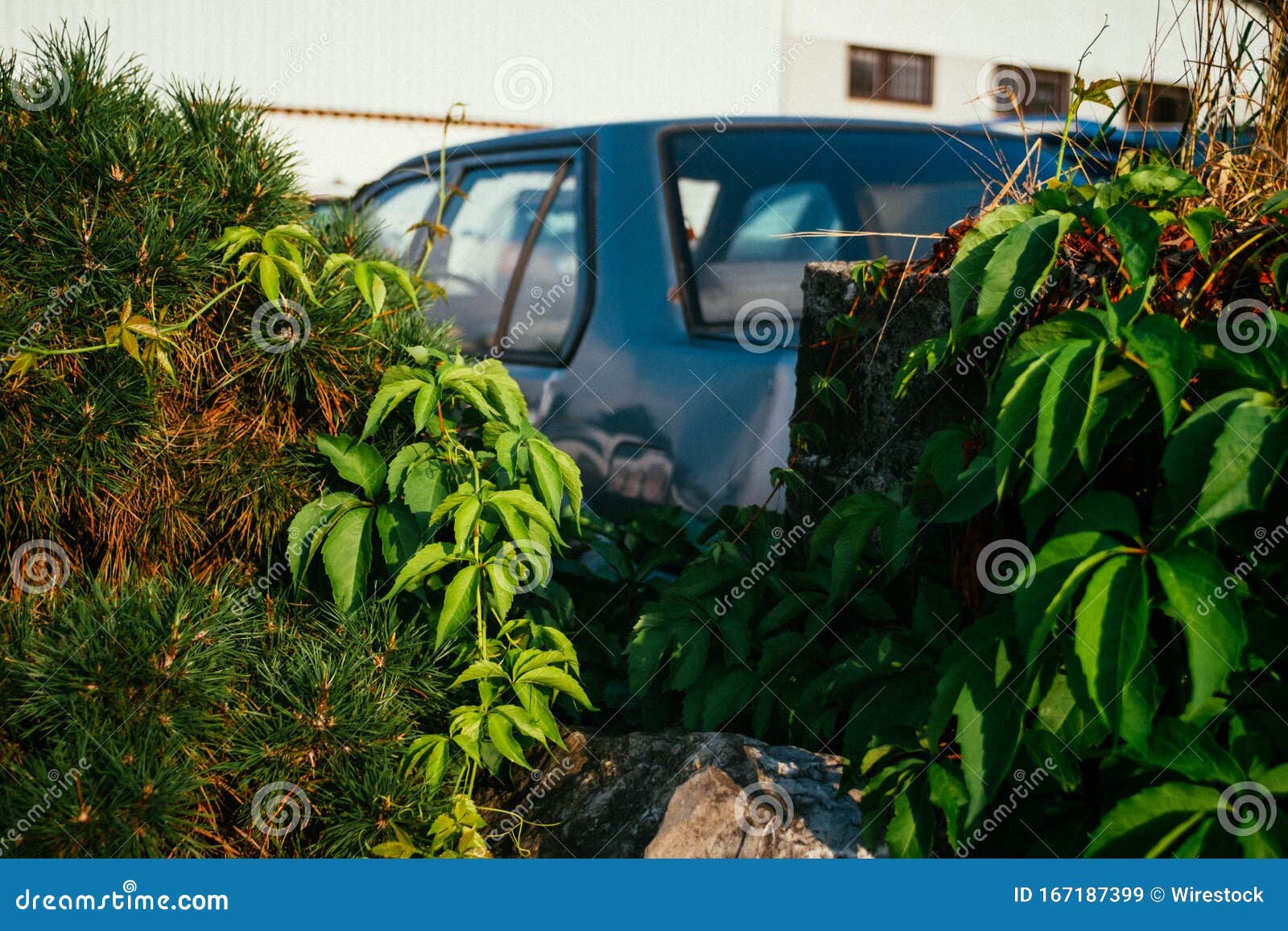 Abandoned car stock image. Image of left, grass, detail - 167187399