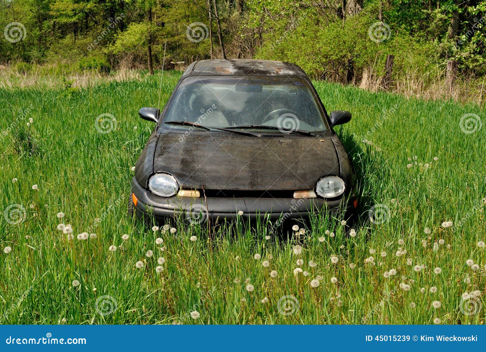Abandoned car in field stock image. Image of pollution - 45015239