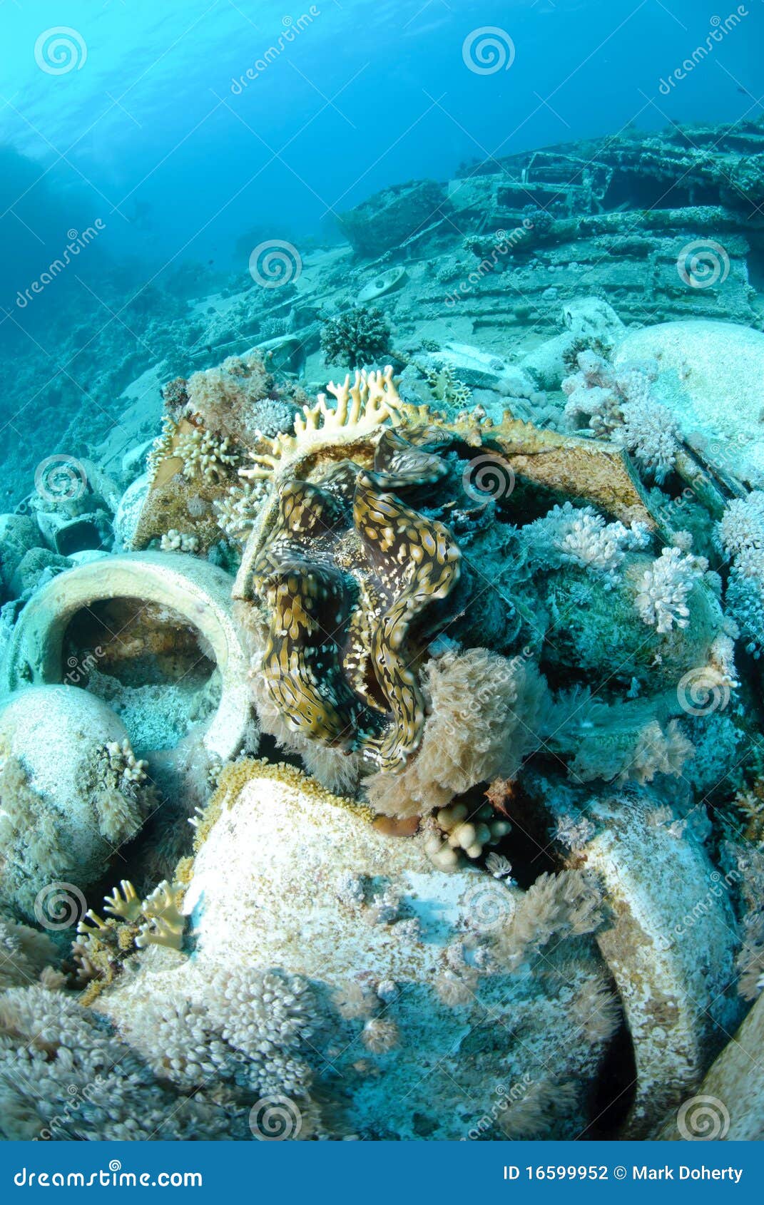 Abandoned Cargo from Shipwreck Stock Photo - Image of disaster ...