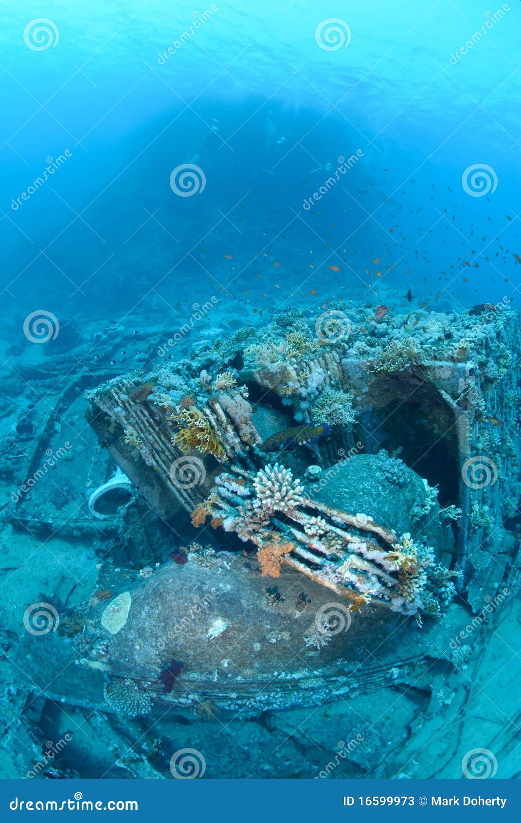 Abandoned Cargo From Shipwreck Stock Image - Image of stranded, lens ...