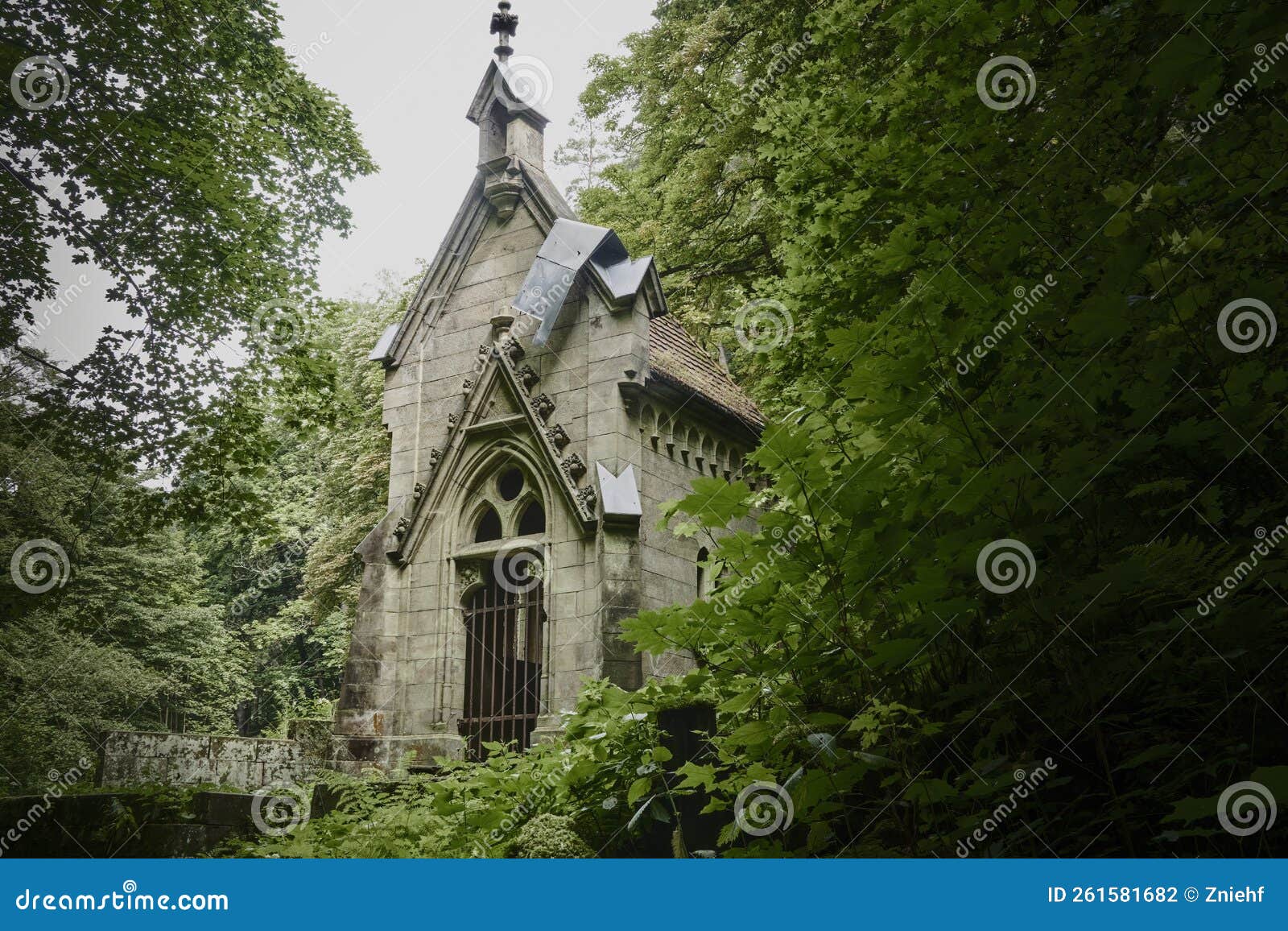 Abandoned Cemetery Chapel in a Dense Green Forest Stock Photo - Image ...