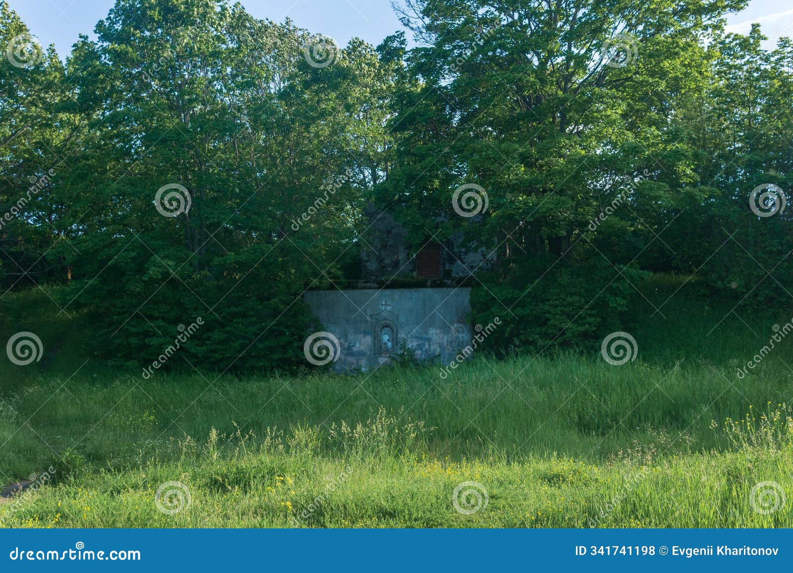 Abandoned Church Ruins in the Bush Stock Photo - Image of bush, chapel ...