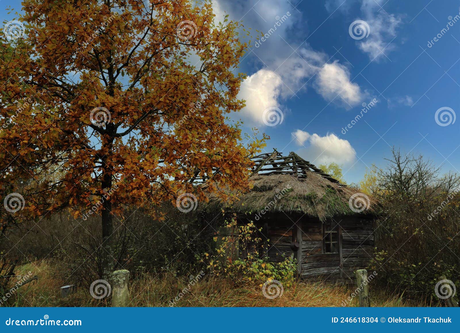 Chernobyl Exclusion Zone Editorial Image 70500364
