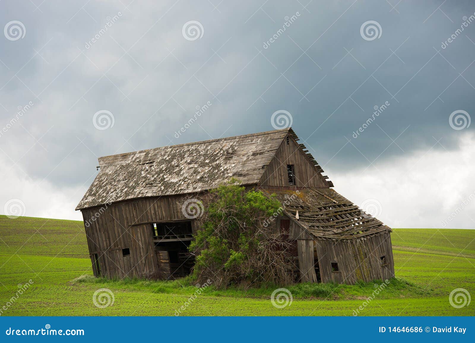 Abandoned and Collapsing Barn Stock Photo - Image of palouse, barn ...