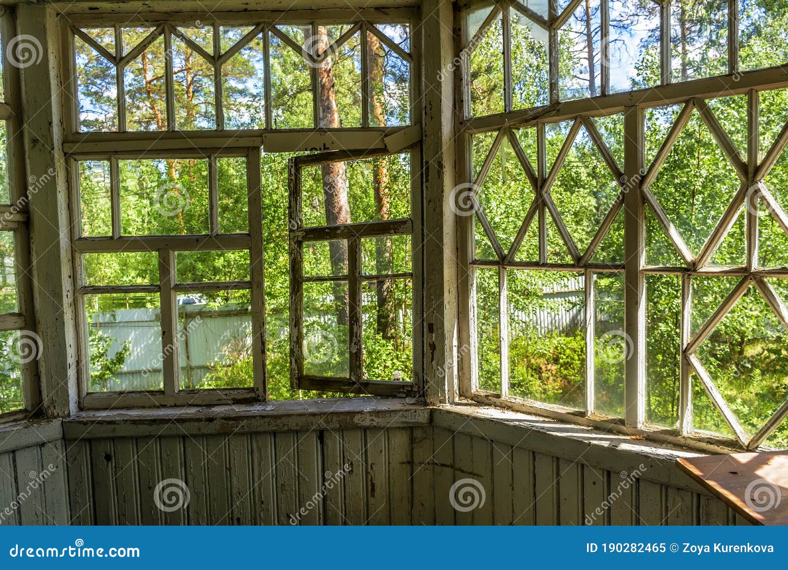 Collapsing House With Dilapidated Walls And Wet Ceiling, Gray Mold On ...