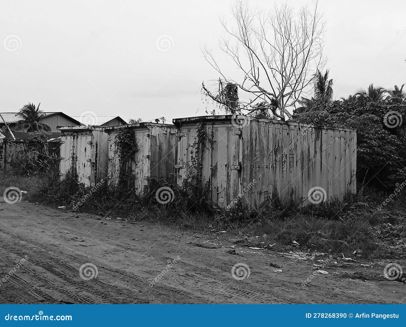 Abandoned Container in Village Stock Photo - Image of container ...