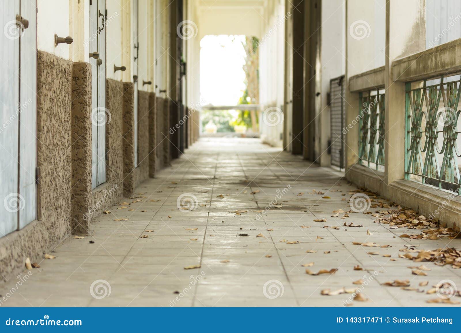 Abandoned Corridor Empty Space Old School Stock Image - Image of porch ...