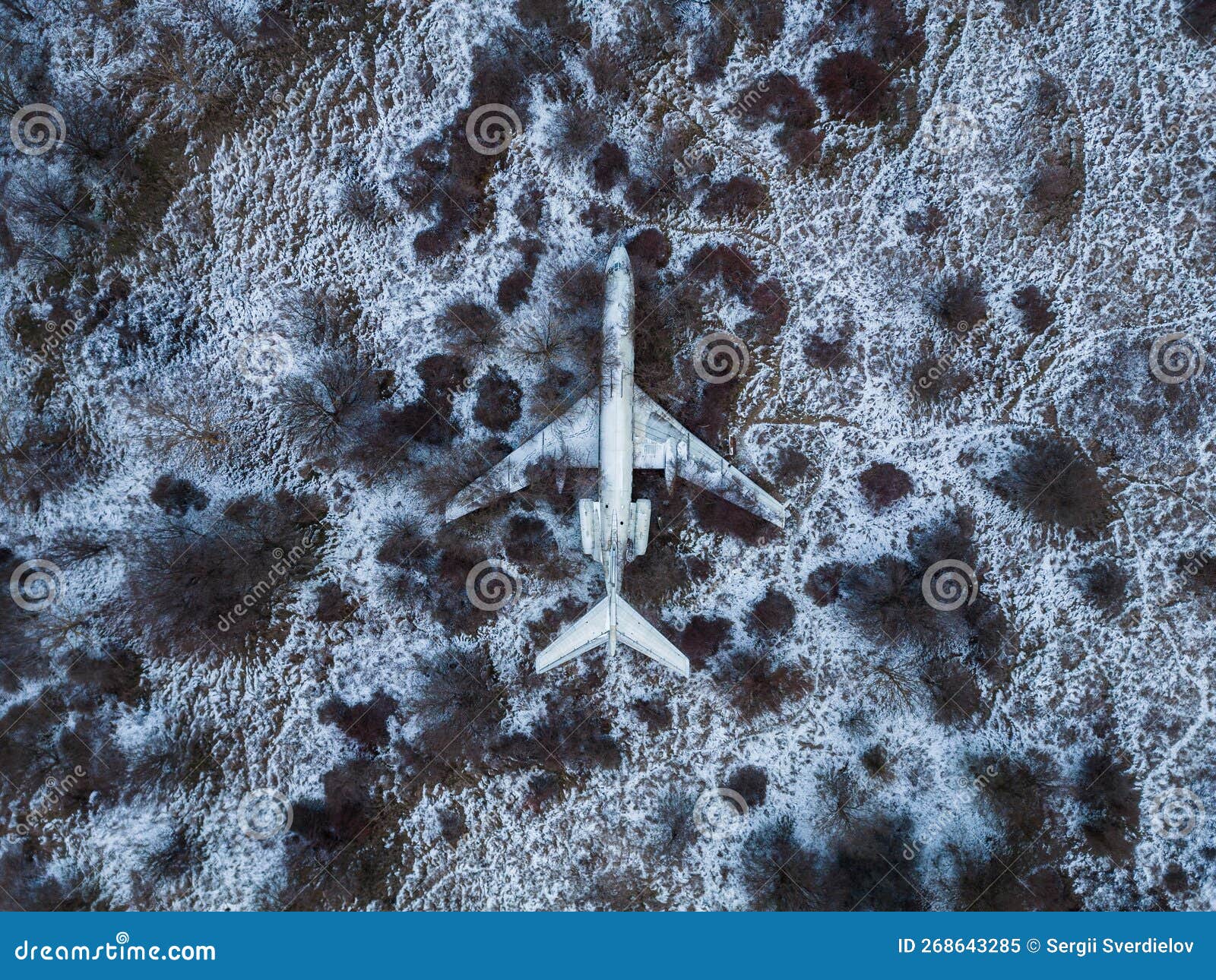 Abandoned Passenger Plane Wreck in the Forest in Winter Stock Image ...