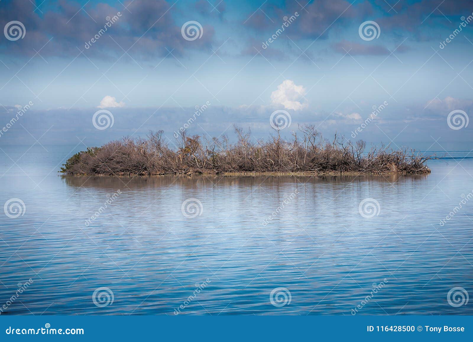 Abandoned, Desolate Island stock photo. Image of abandoned - 116428500