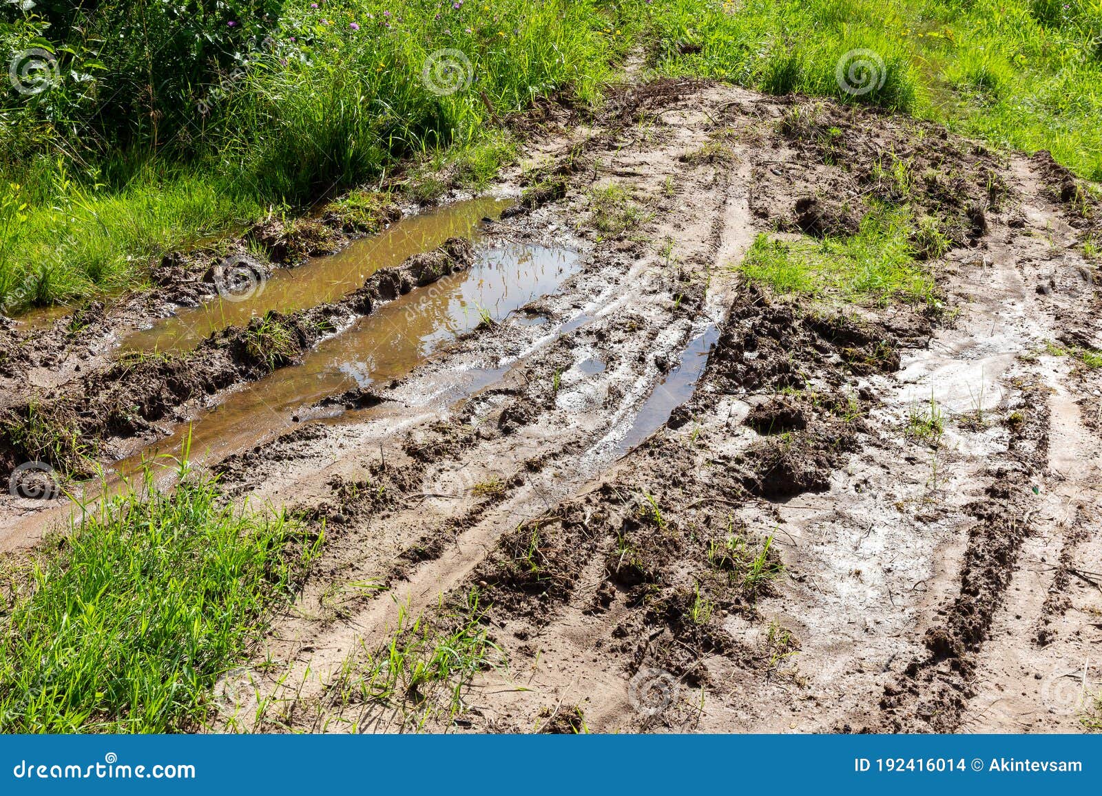 Dirt road with puddles stock photo. Image of adventure - 192416014