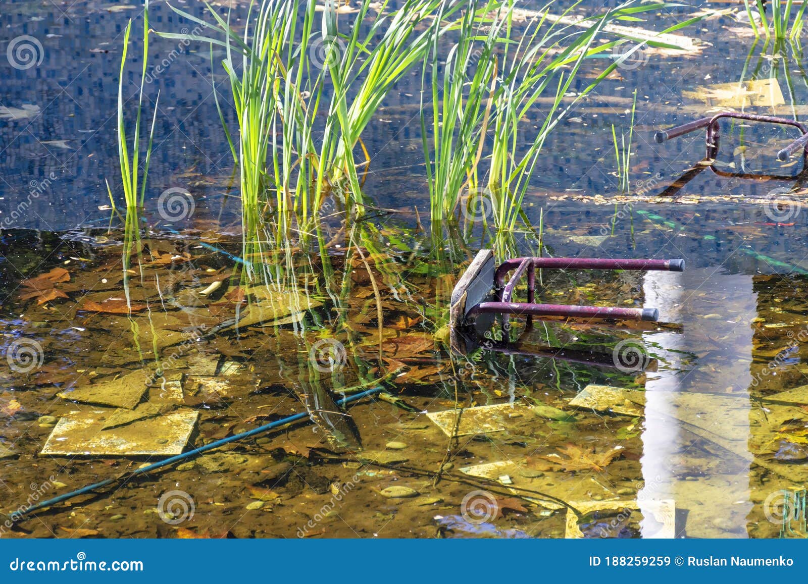 Abandoned dirty pool stock image. Image of desolation - 188259259