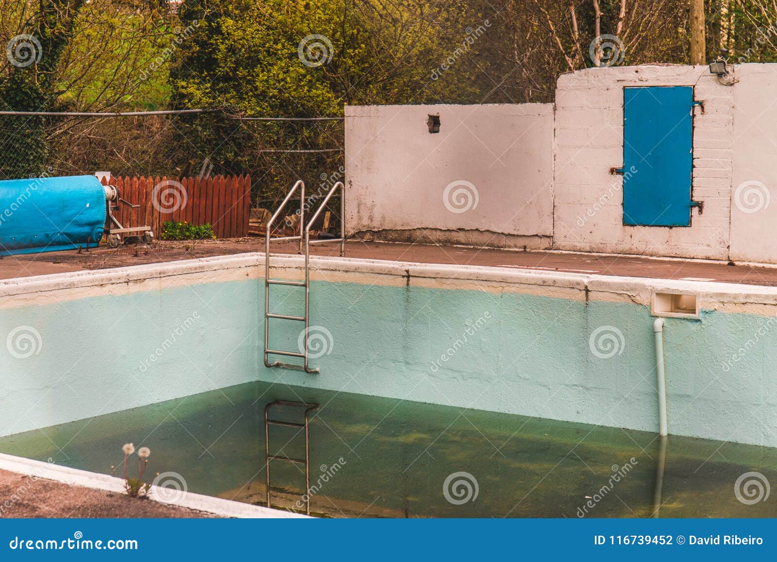 An Abandoned and Dirty Pool Stock Photo - Image of home, obsolete ...