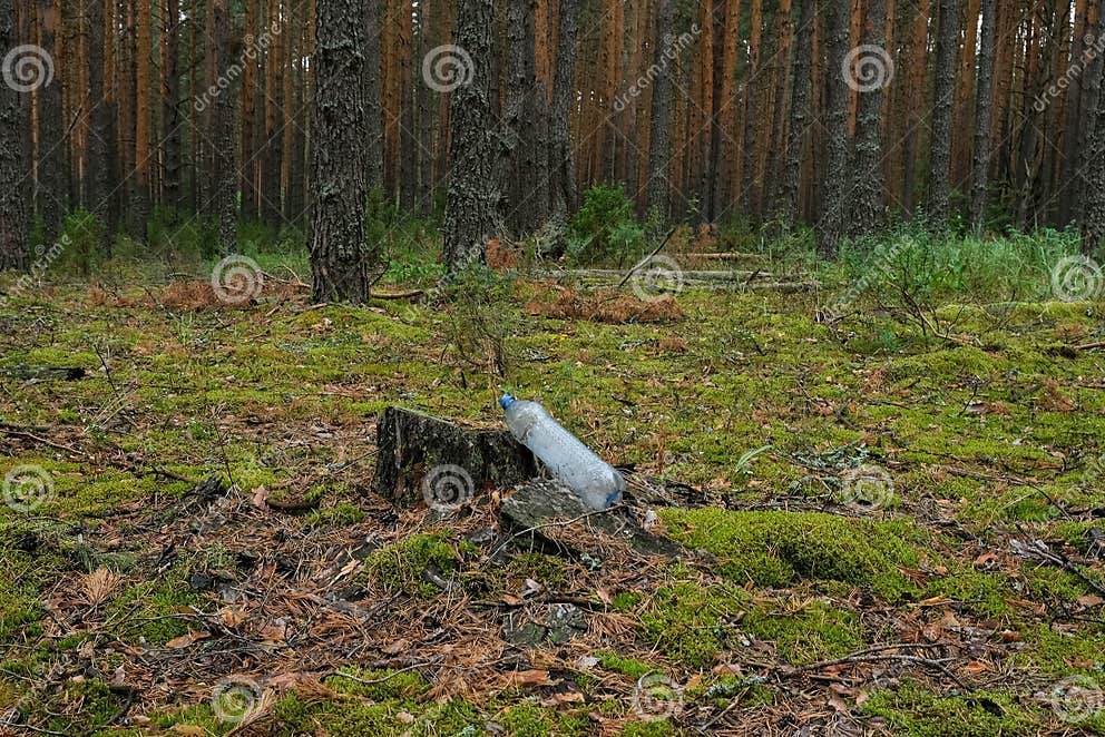 An Abandoned Disposable Plastic Bottle Near the Stump. Plastic Garbage ...