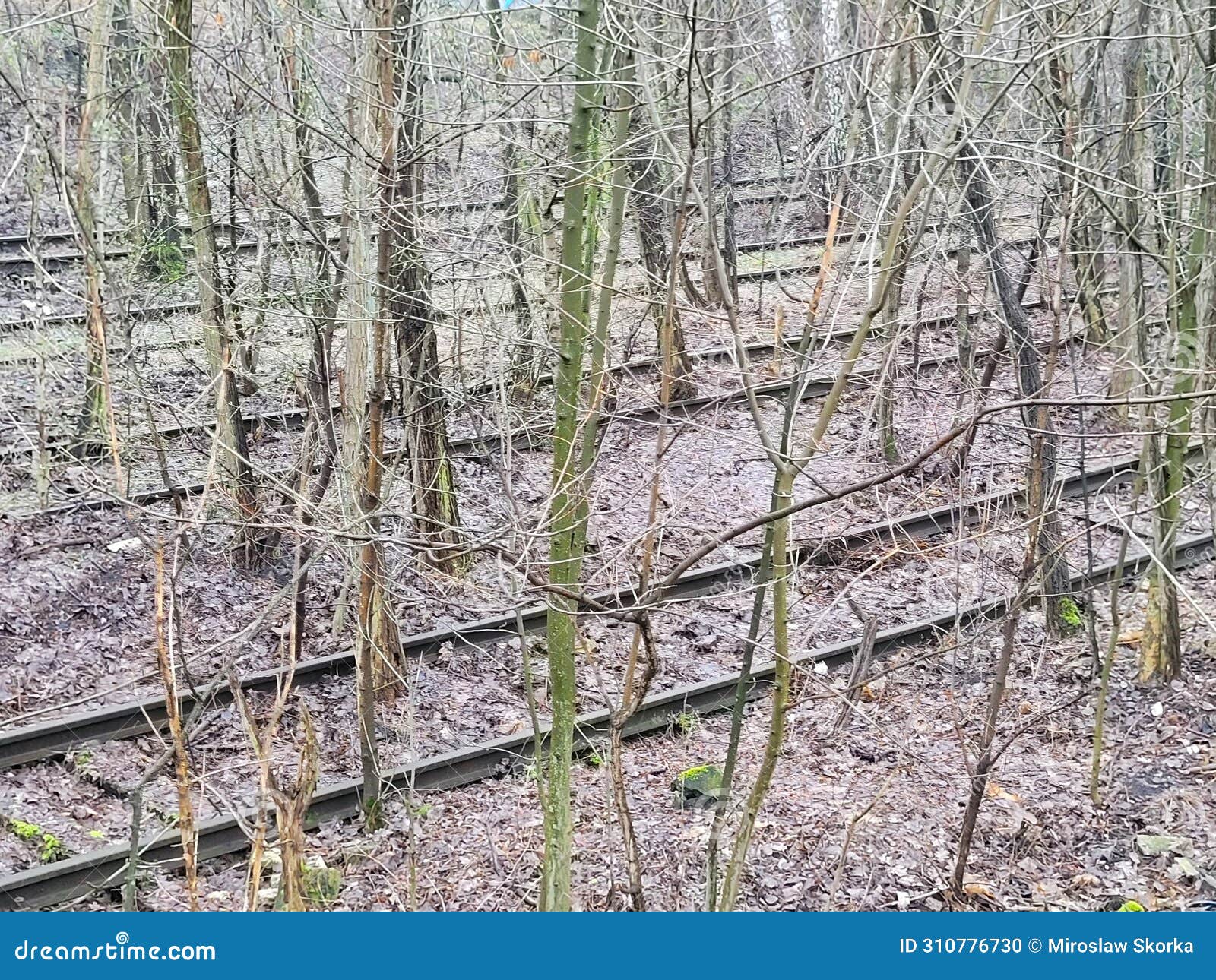 Abandoned Disused Railway Siding Tracks Stock Photo - Image of overcome ... Abandoned Disused Railway Siding Tracks Stock Photo - Image of overcome ...