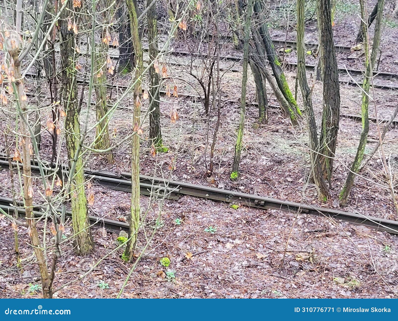 Abandoned Disused Railway Siding Tracks Stock Image - Image of rsilway ...