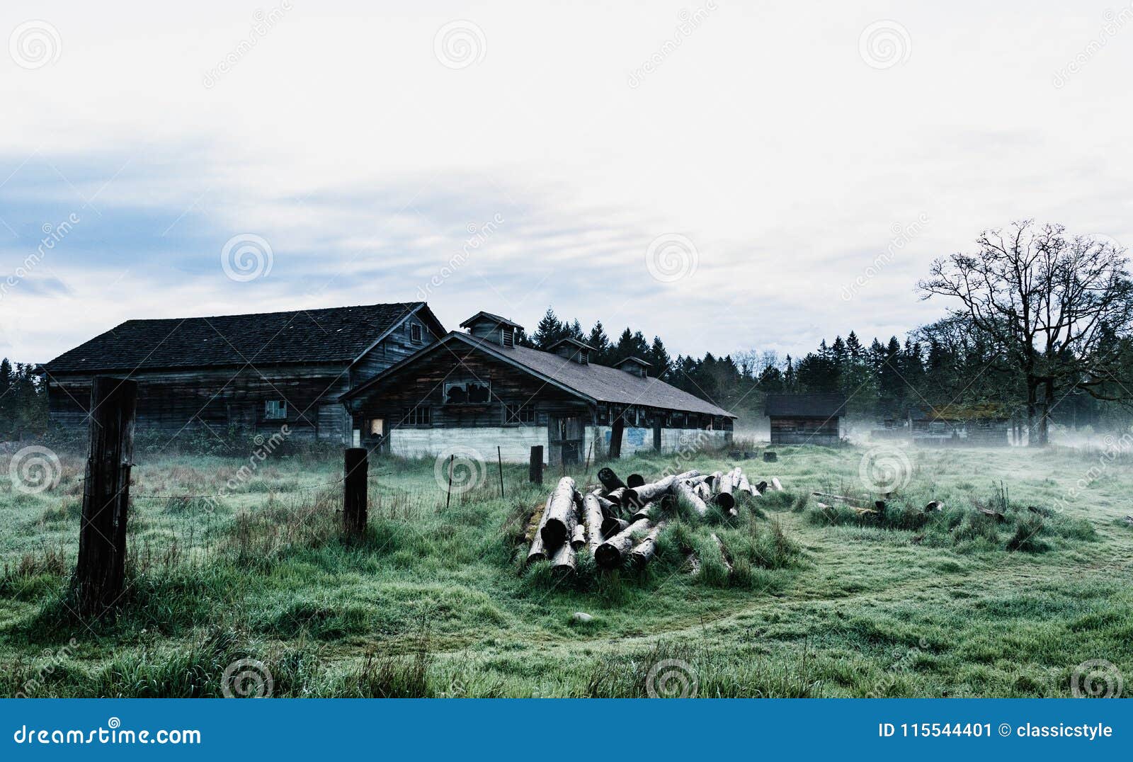 Abandoned Egg Farm on a Cold Misty Morning Stock Image - Image of barn ...