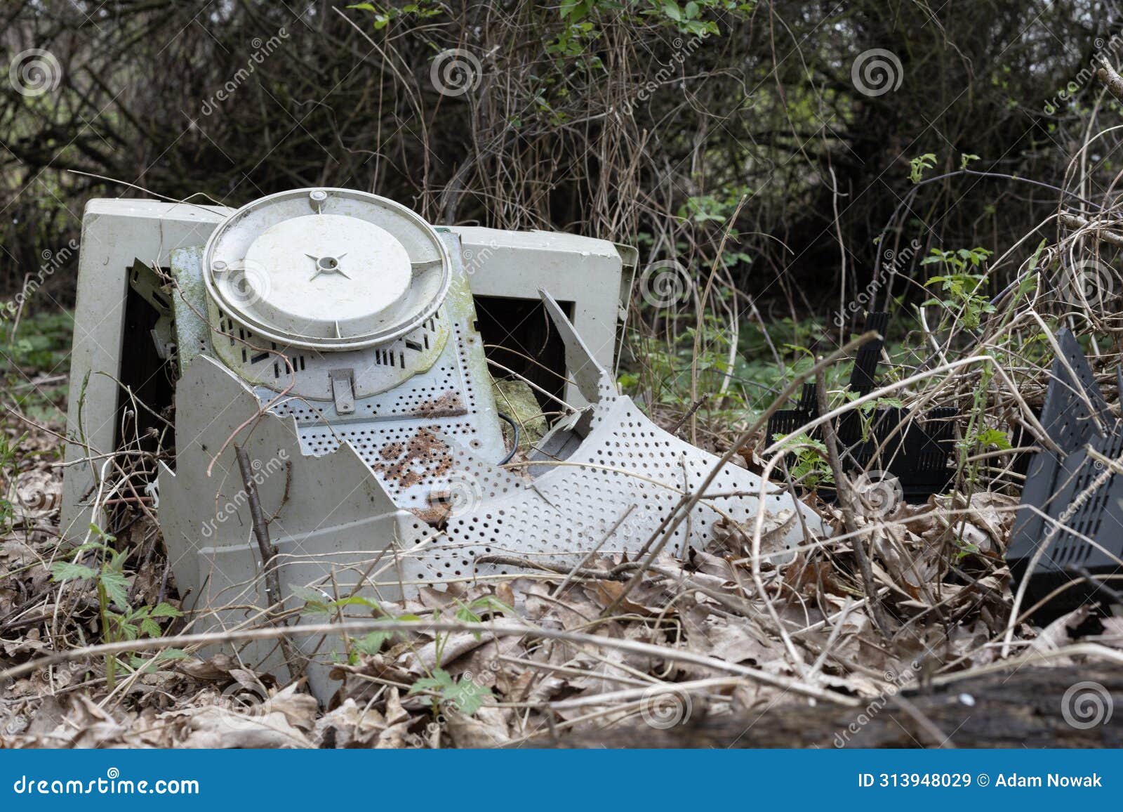 Abandoned Electronic Waste in Forest. Stock Image - Image of electronic ...