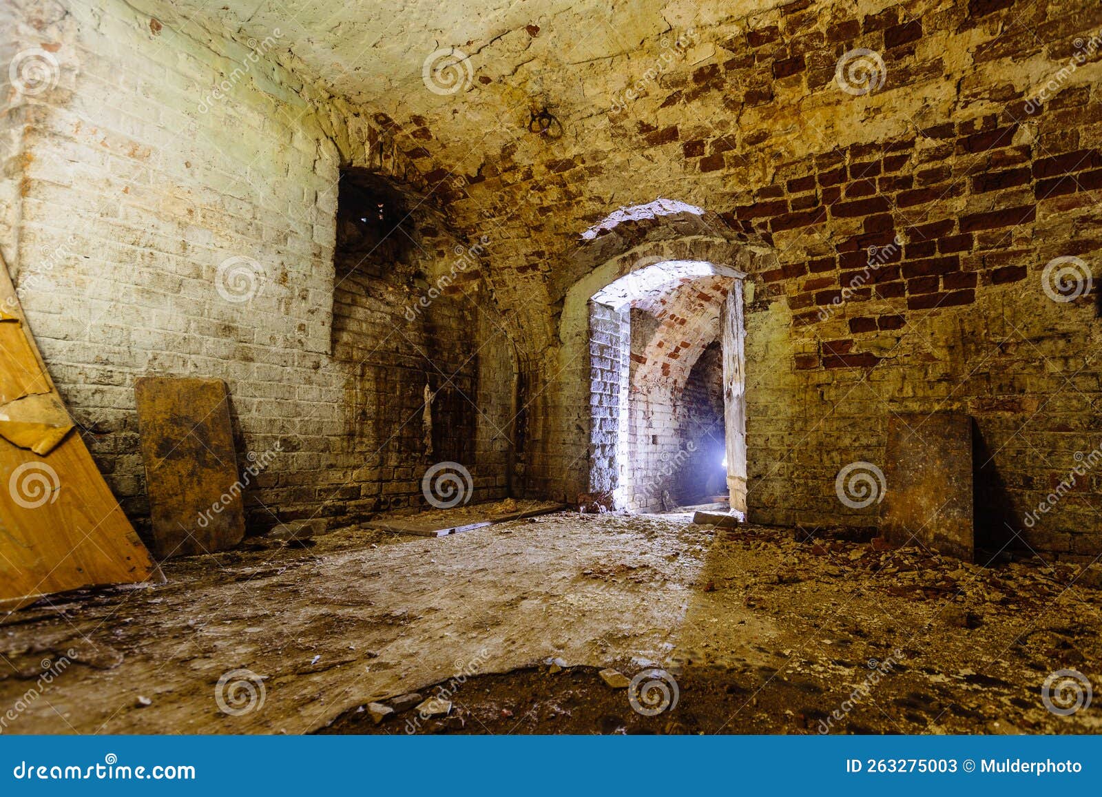 Abandoned Empty Old Dark Underground Vaulted Cellar Stock Image - Image ...