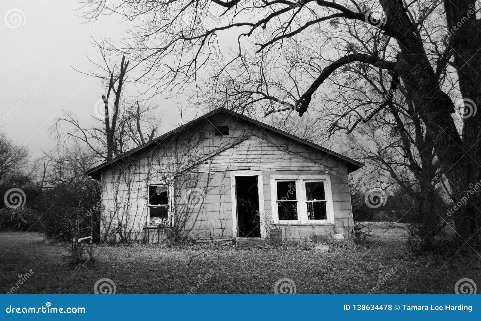 Abandoned Empty Old House with Dead Trees Stock Photo - Image of real ...