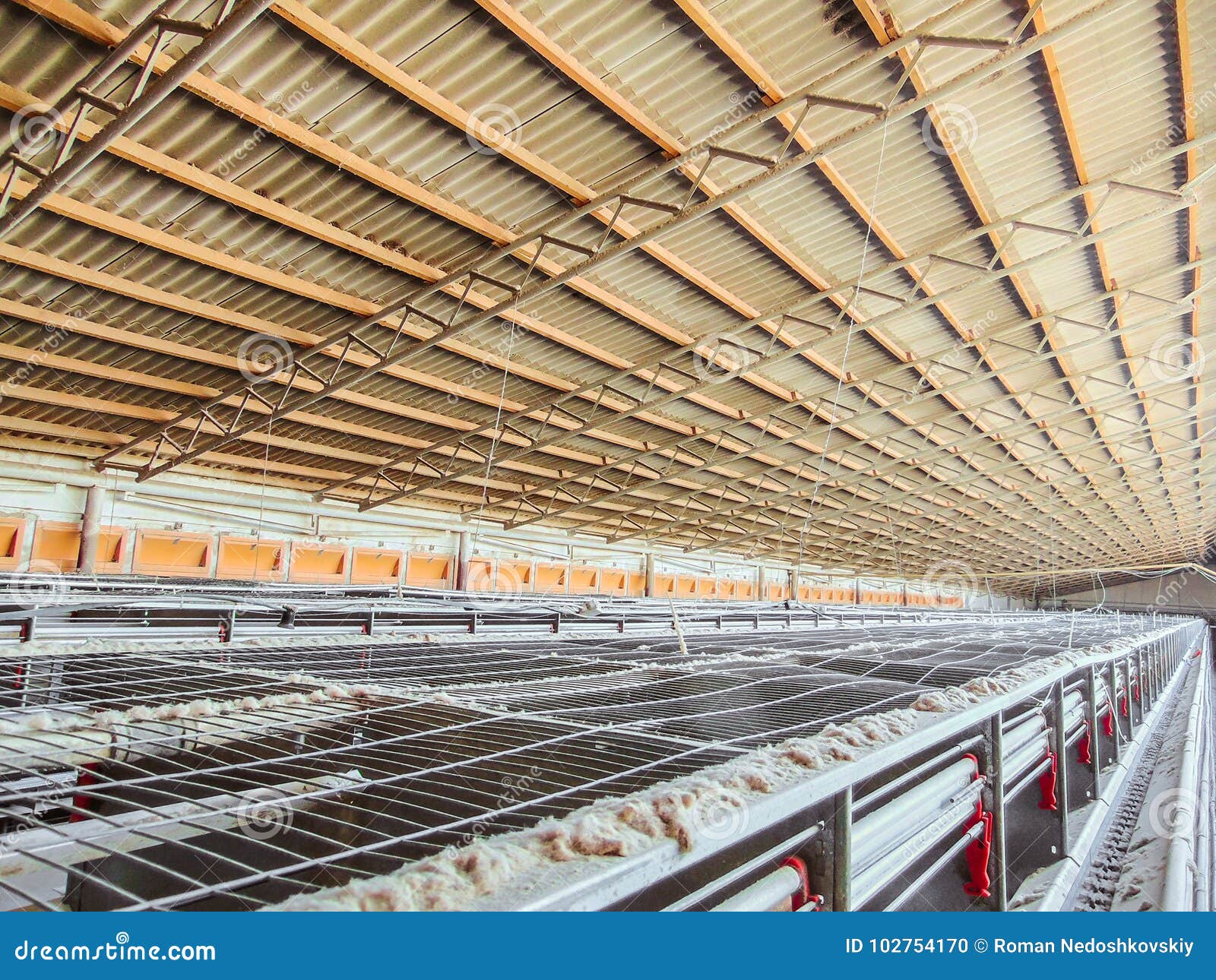 Abandoned Empty and Stopped Production Line of Chicken Eggs Stock Photo ... Abandoned Empty and Stopped Production Line of Chicken Eggs Stock Photo ...