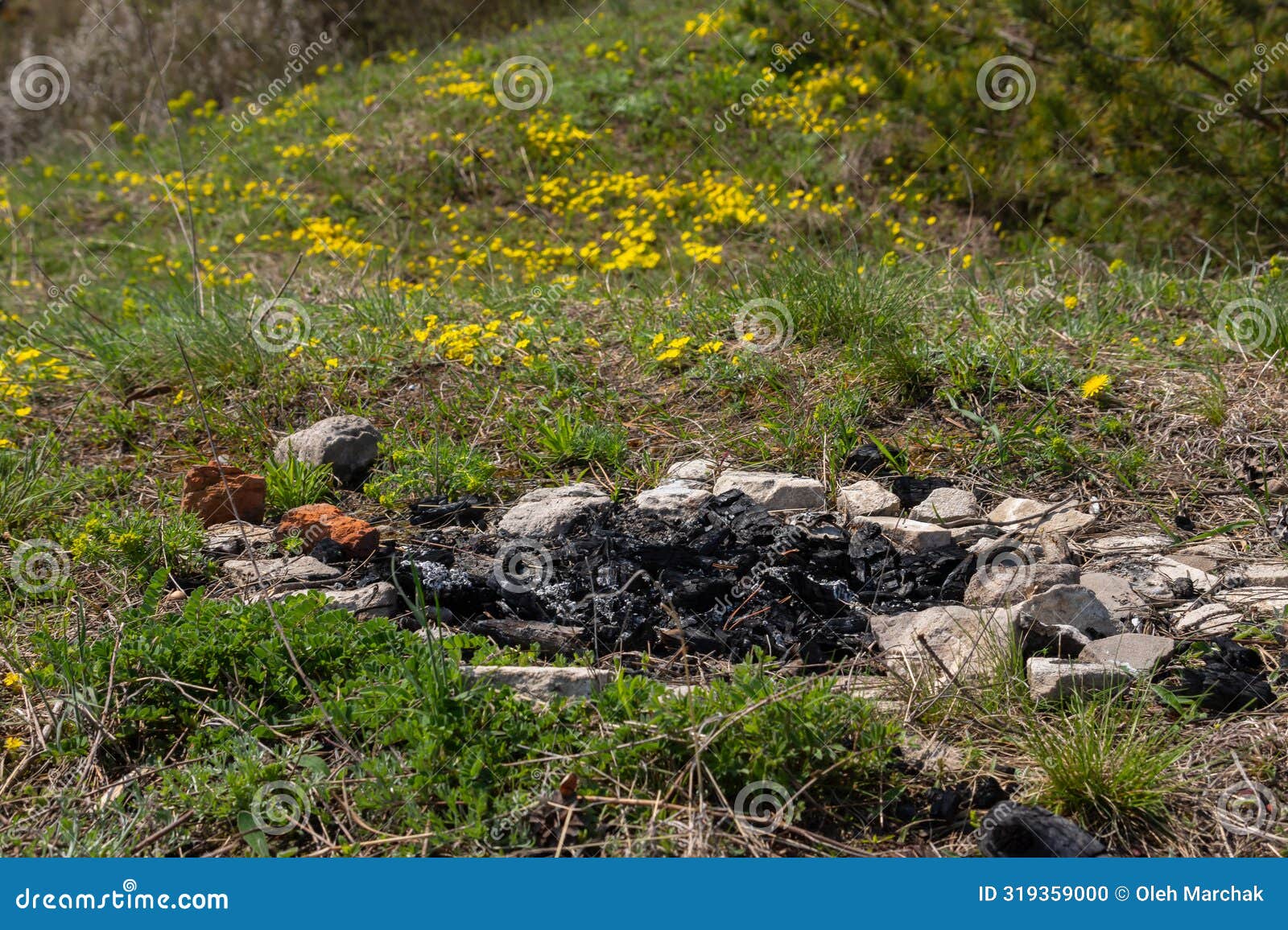 Old Abandoned Extinct Village, Nature Reclaims The Territory Abandoned ...
