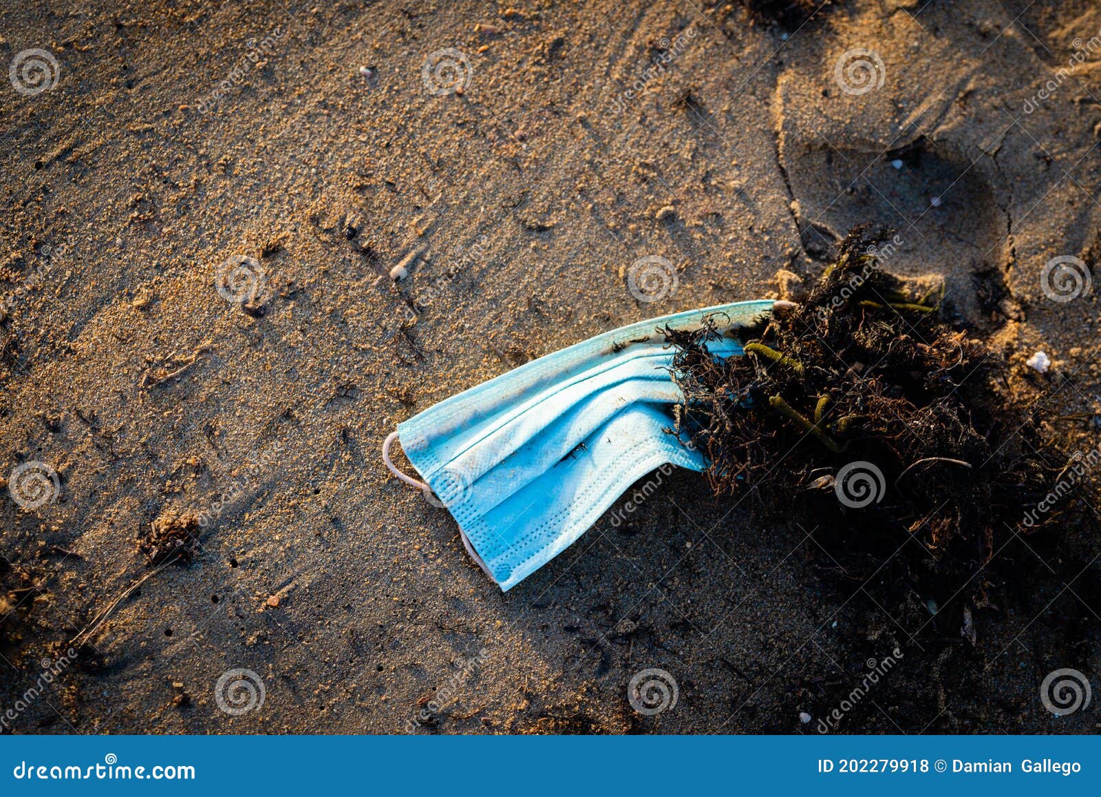 Abandoned Face Masks on the Wet Sand of the Seashore of a Beach ...