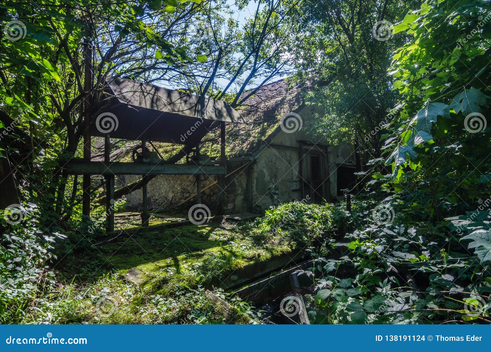 Abandoned Factory Building in a Forest Stock Photo - Image of oblivion ...